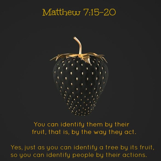 Matthew 7 15 20